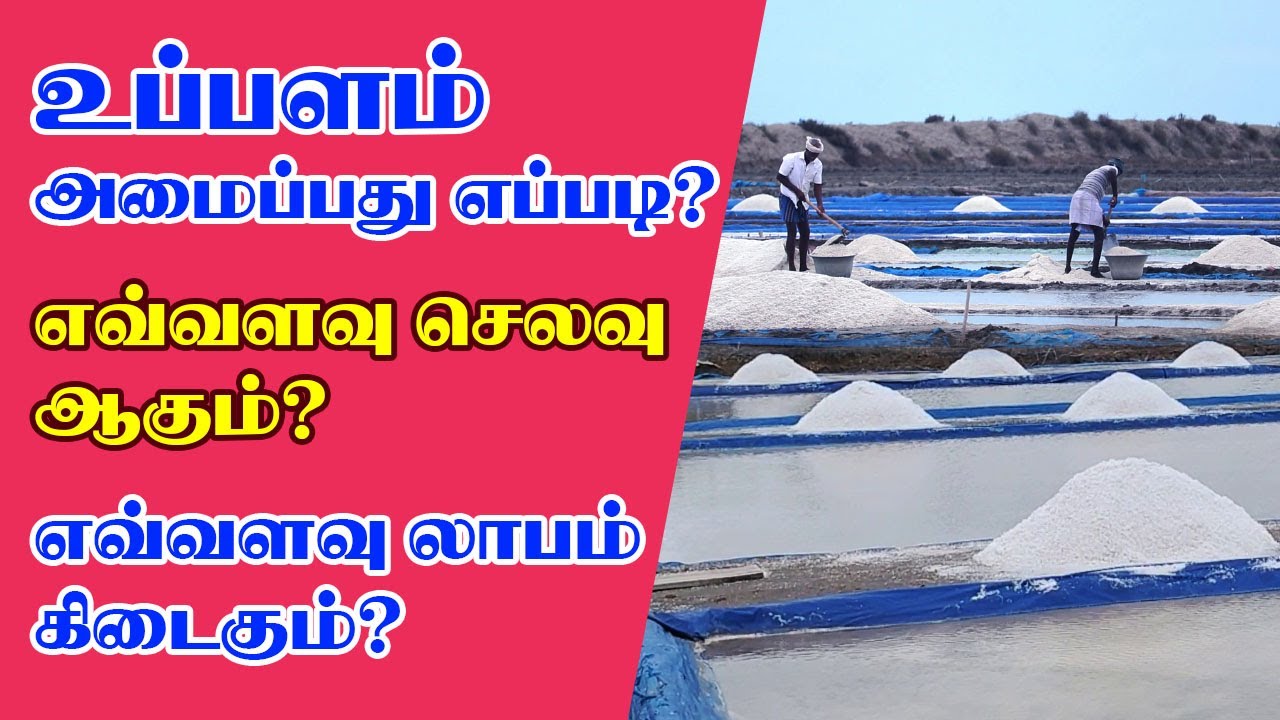 உப்பு உற்பத்தி செய்வது எப்படி?| உப்பளம் | How to produce salt | Salt ...