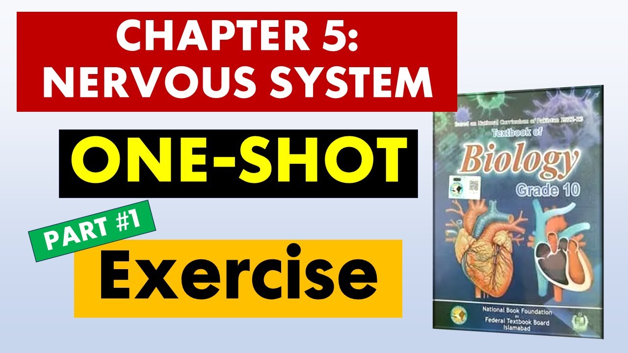 Chapter 5: Nervous System | Exercise Part 1 | Class 10 Biology | New ...