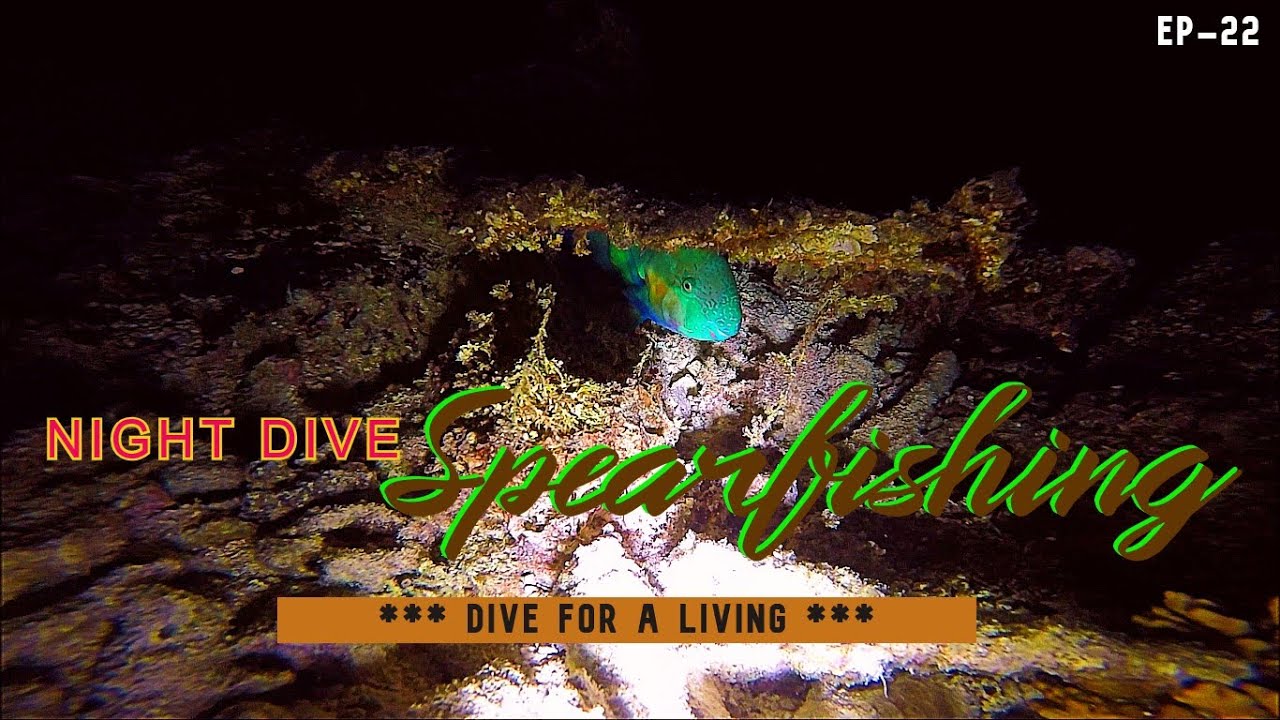 Night Dive Spearfishing in the Marshall Islands [ep22] S2/Part-2 DIVE ...