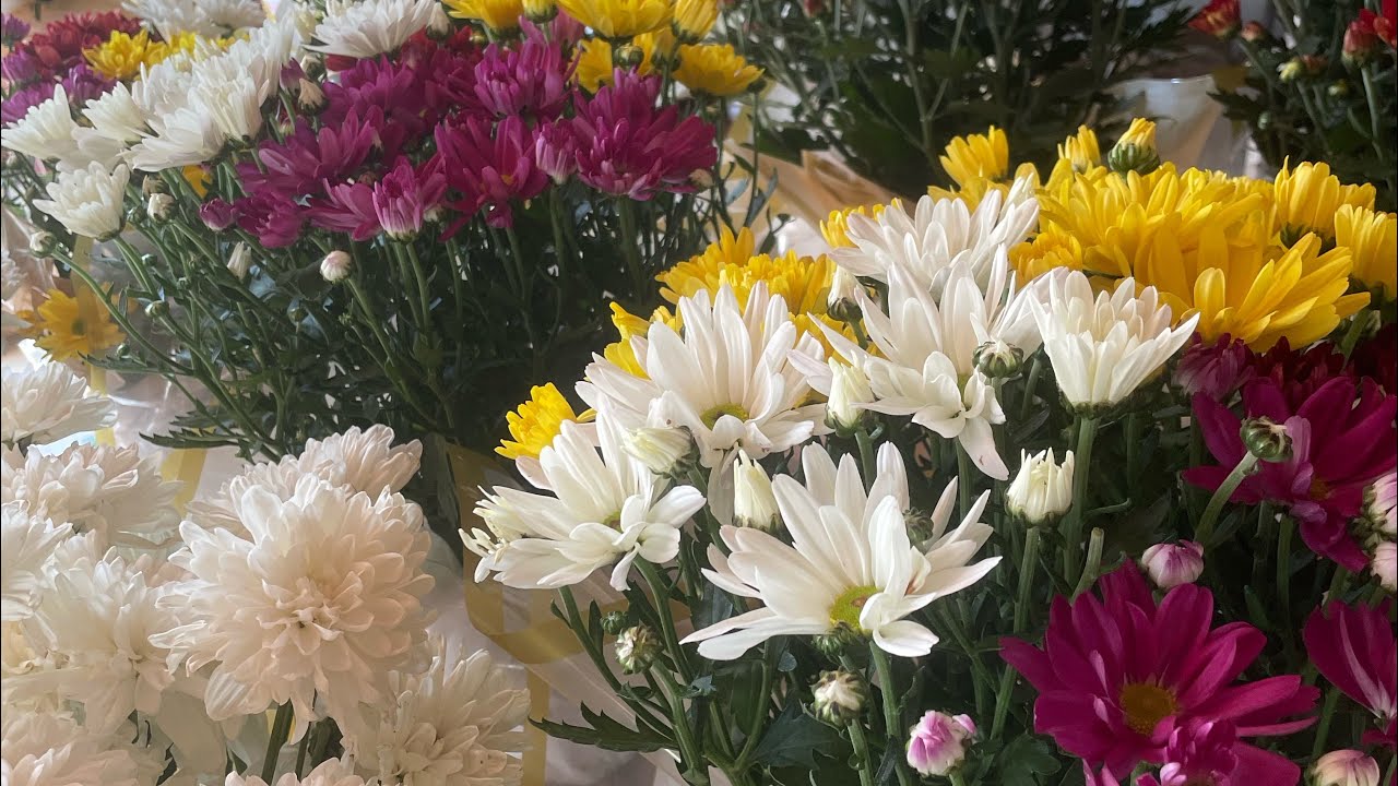 Kim Matheus - tudo a ver com ele ( cover Central 3) - YouTube