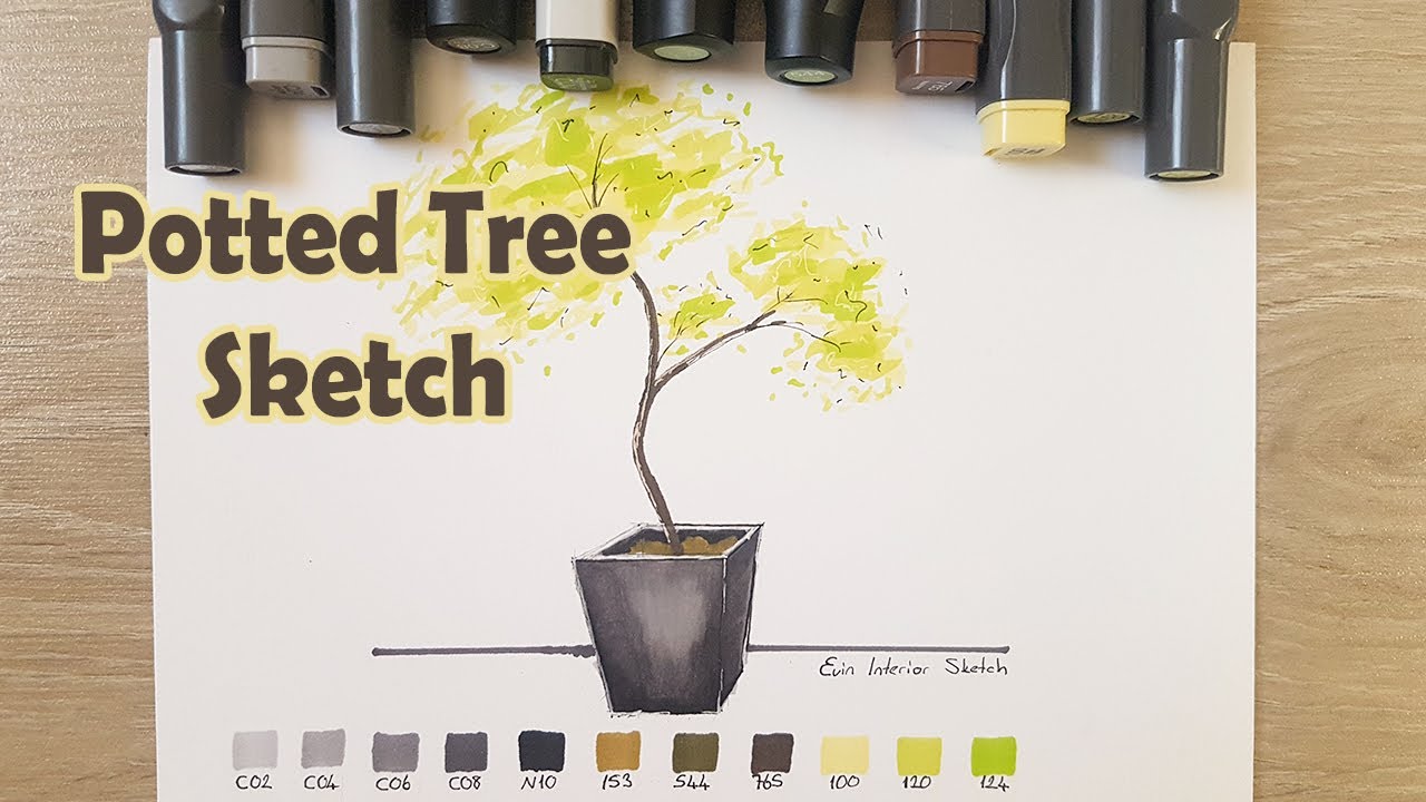 HOW TO DRAW POTTED TREE WITH MARKERS FOR BEGINNER 📏 // Potted Plants 🌳 ...
