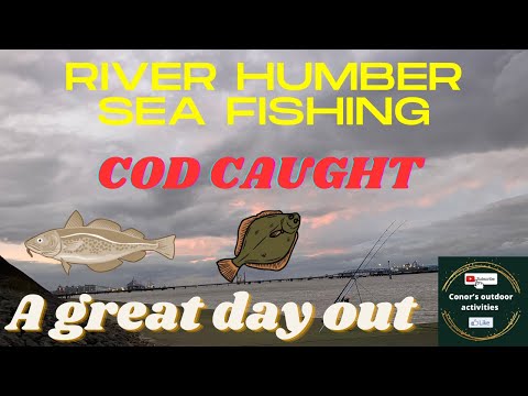 River Humber Sea Fishing, Fish caught 👍 - YouTube