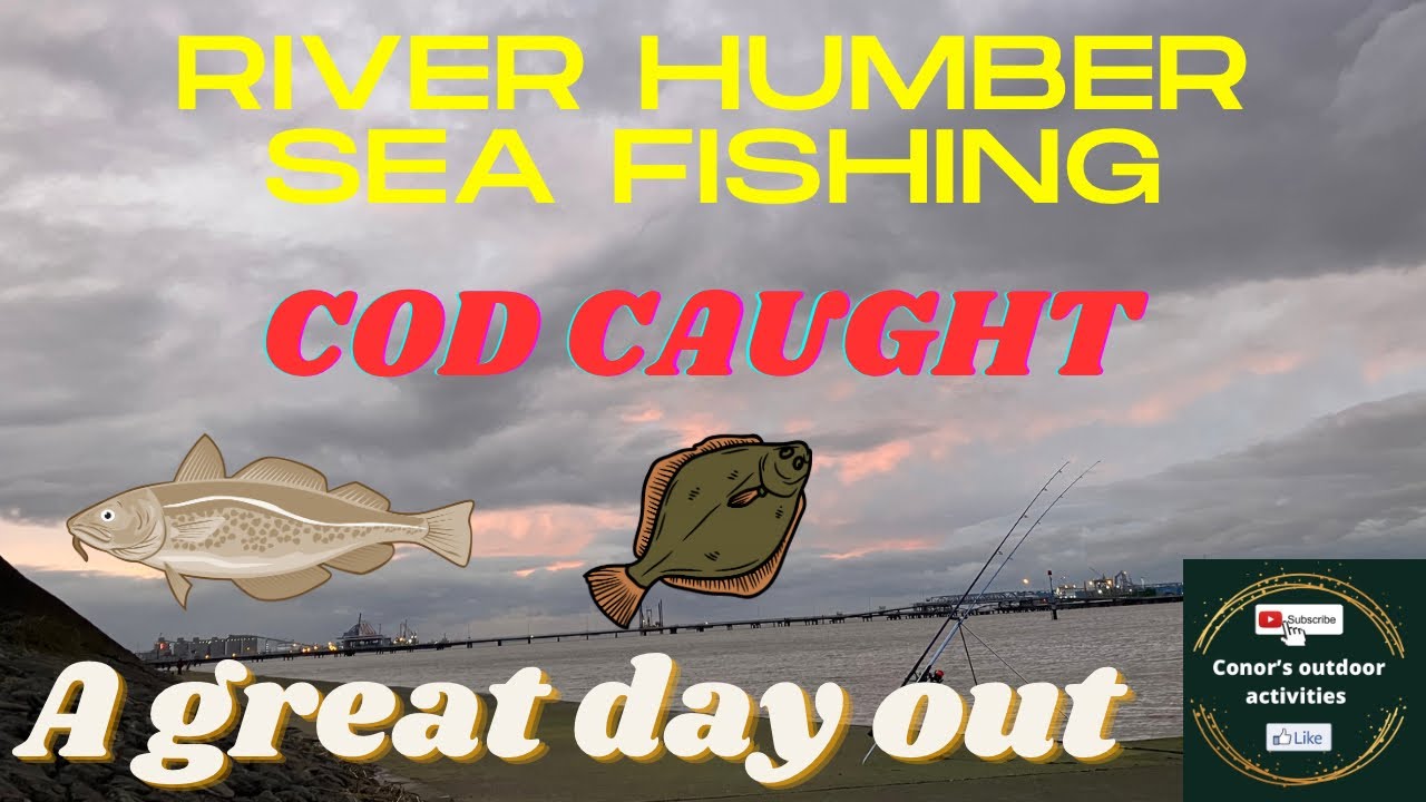 River Humber Sea Fishing with Steve D, Cod and Flounders caught - YouTube