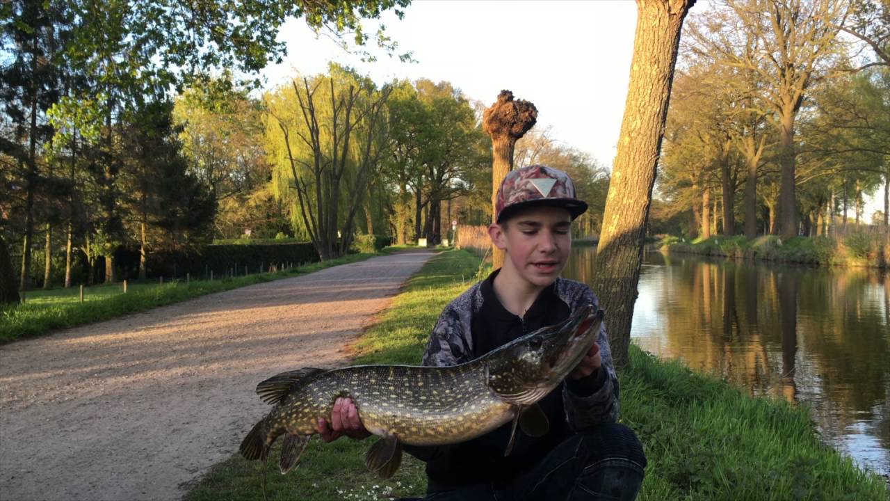 nieuw record snoek 90 cm!!! - YouTube