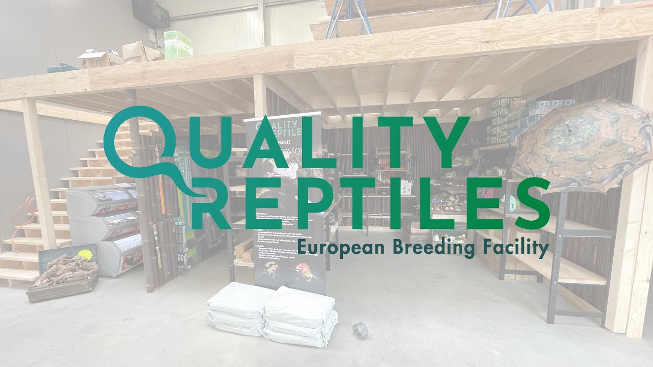 Construction of the Quality Reptiles breeding facility - Part 4 - YouTube
