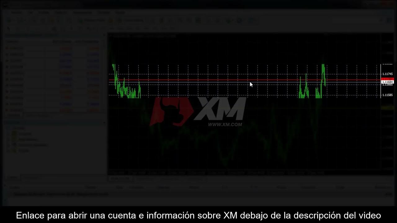 XM | Tutoriales MT4 Propiedades de la Ventana de gráficos | Divisas - YouTube