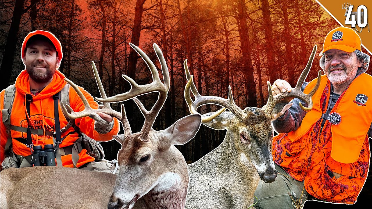 Southern Public Land Deer Hunting!!! - (Two Bucks Down) - YouTube