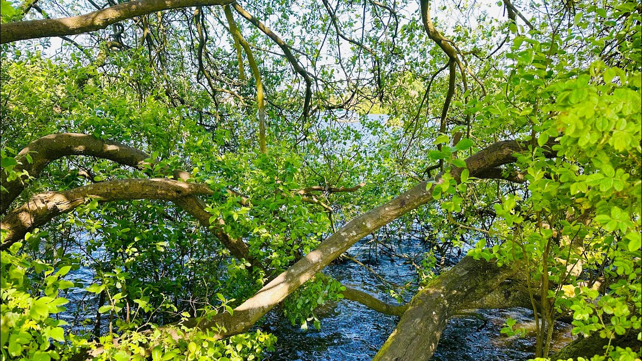 Travel to Doffcocker Lodge, Bolton - YouTube