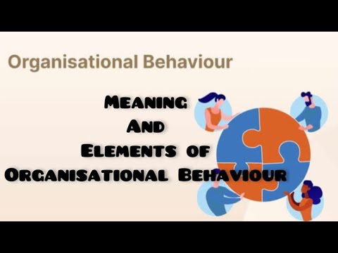 What is Organisational Behaviour? | Elements of OB | Organisational ...