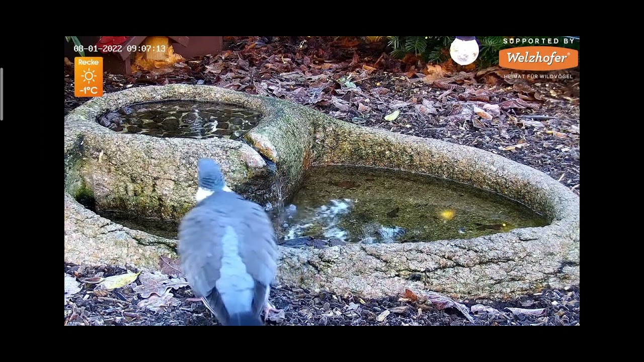 RECKE Germany NatureTec Excel welzhofer - YouTube