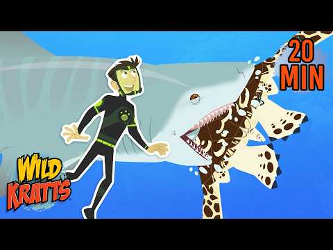 Tiger Shark Surprise | Creature Facts | Wild Kratts