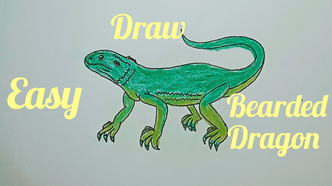 how to draw a easy bearded dragon step by step 🐉🐲 - YouTube