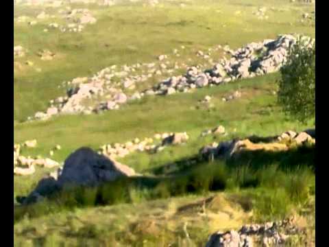 Elmalılı Yusuf ÖZ  (Yörük kızı )