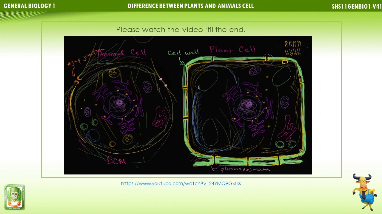 Grade 11 General Biology - Part 2 - YouTube