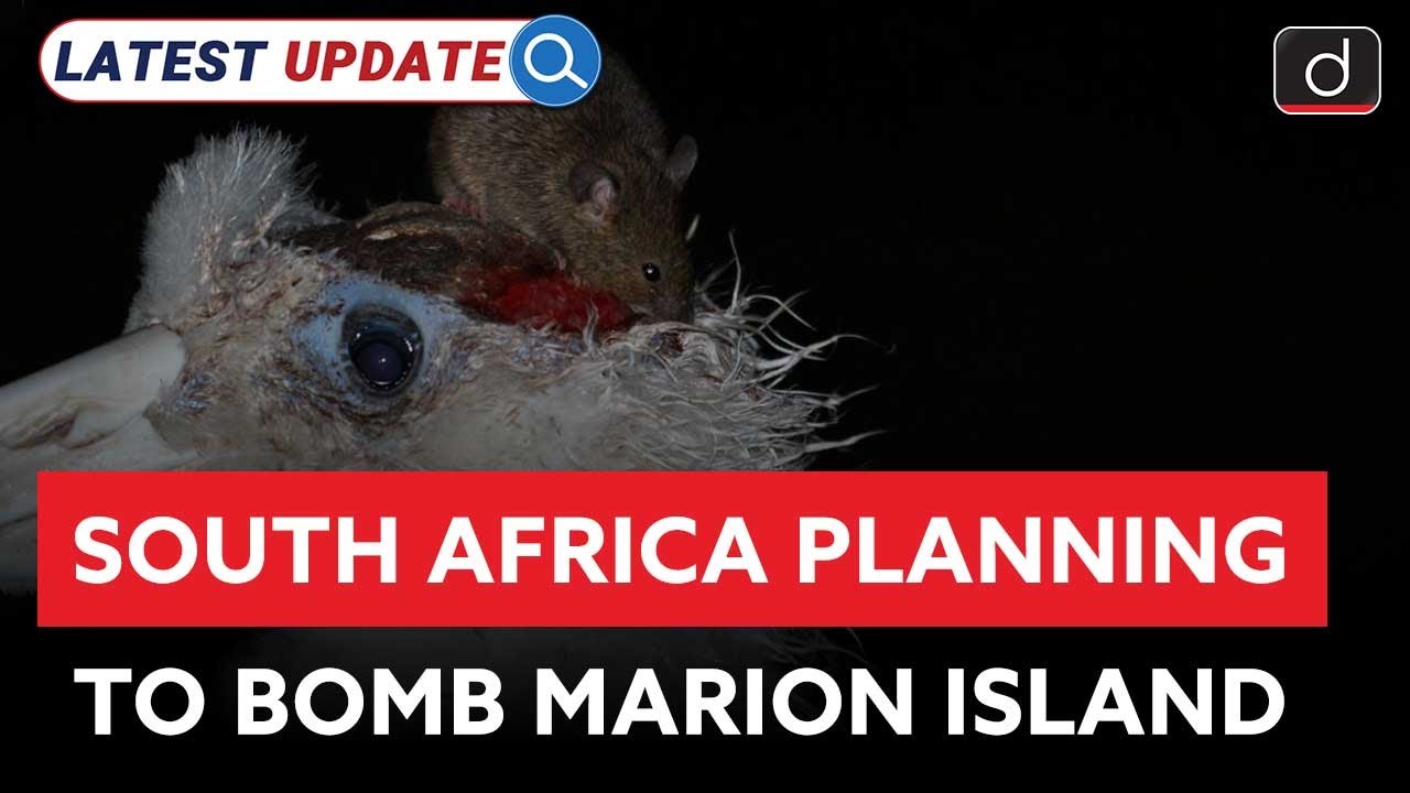 South Africa’s Mouse Free Marion Project | Mice Attack | Latest Update ...
