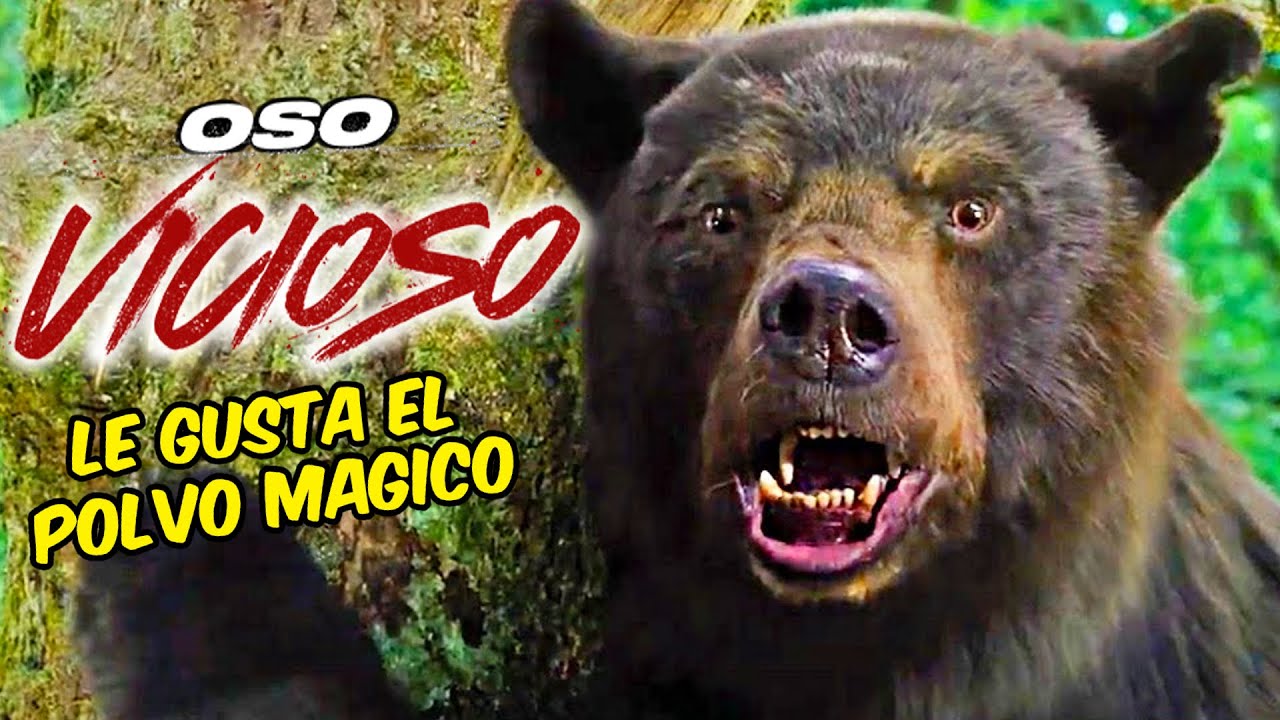Oso Vicioso 2023 (le gusta el polvo magico) Resumen en minutos - YouTube