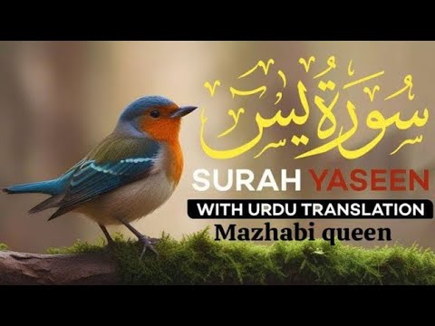 Yasin Sharif recitation (Yaseen)| By Sheikh Abdur-Rahman | Full With ...