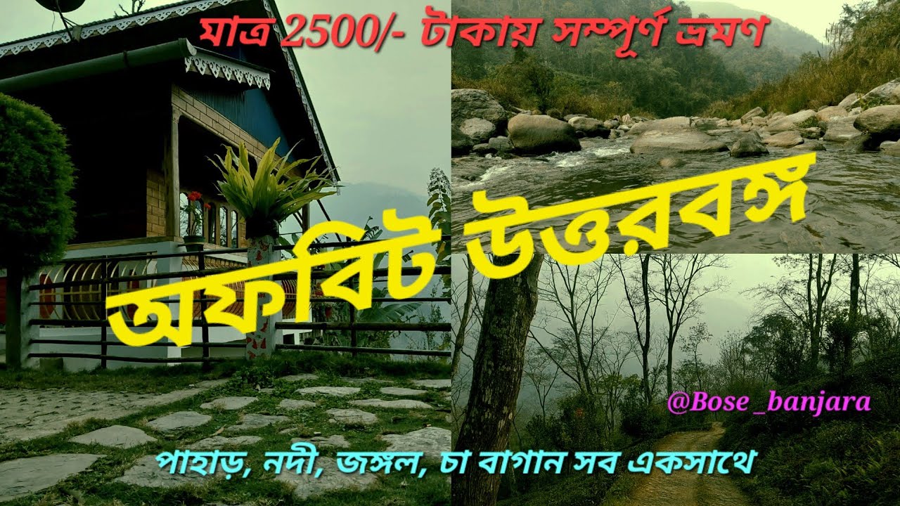 Part-1 Offbeat Darjeeling | Badamtam tea garden | Eviana Homestay - YouTube