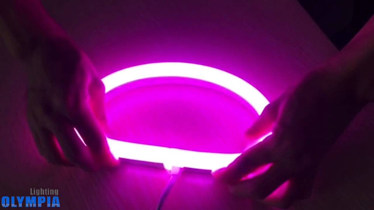 Multi color RGB LED Neon FLex Strip Light Seamless interface with high ...