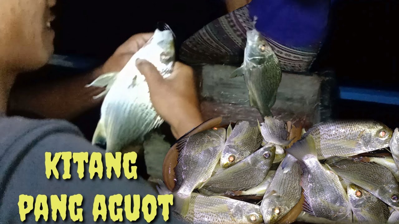 UNANG ARIYA SA KITANG NAMIN/ NIGHT FISHING JACKPOT SA AGUOT NA ISDA ...