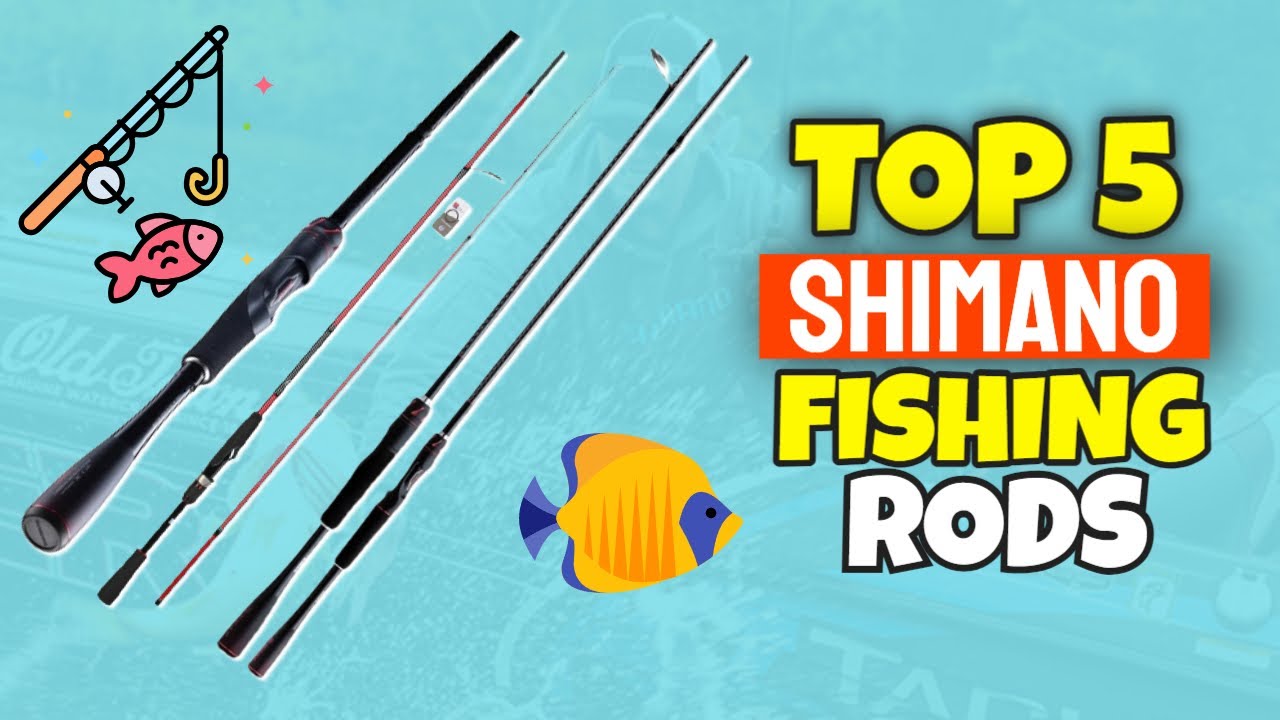 Best Shimano Fishing Rod In 2023 | Top 5 Shimano Fishing Rods Review ...