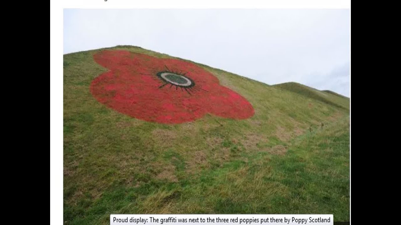 Anti-English Extremist Group Hijacks Famous Poppy Display On The M8 ...