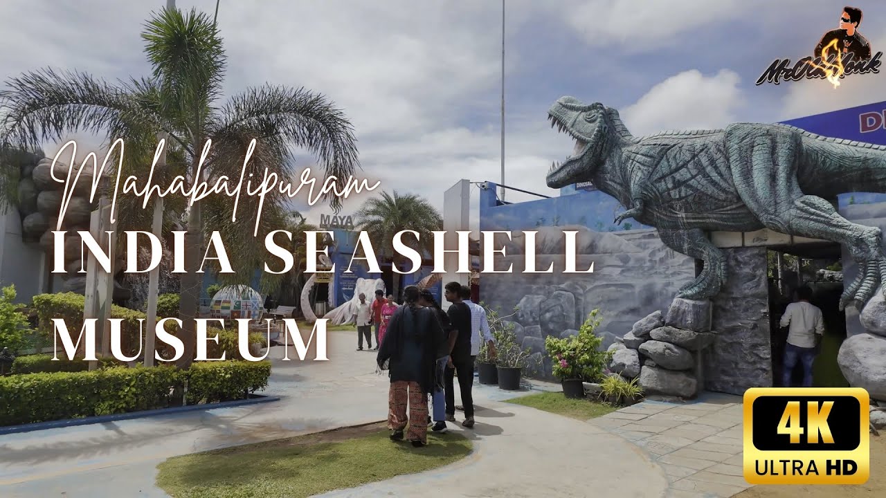 India Seashell Museum 4K | Mahabalipuram - YouTube