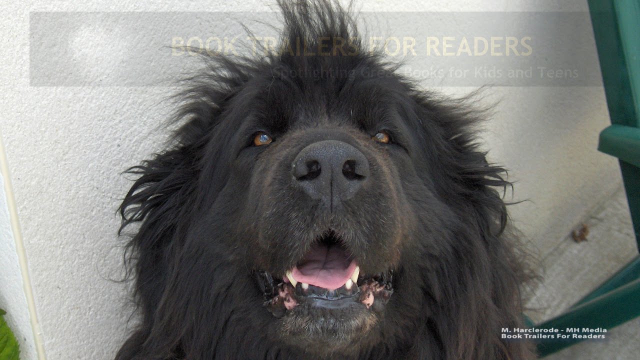 Elvis and the Underdogs Book Trailer - YouTube