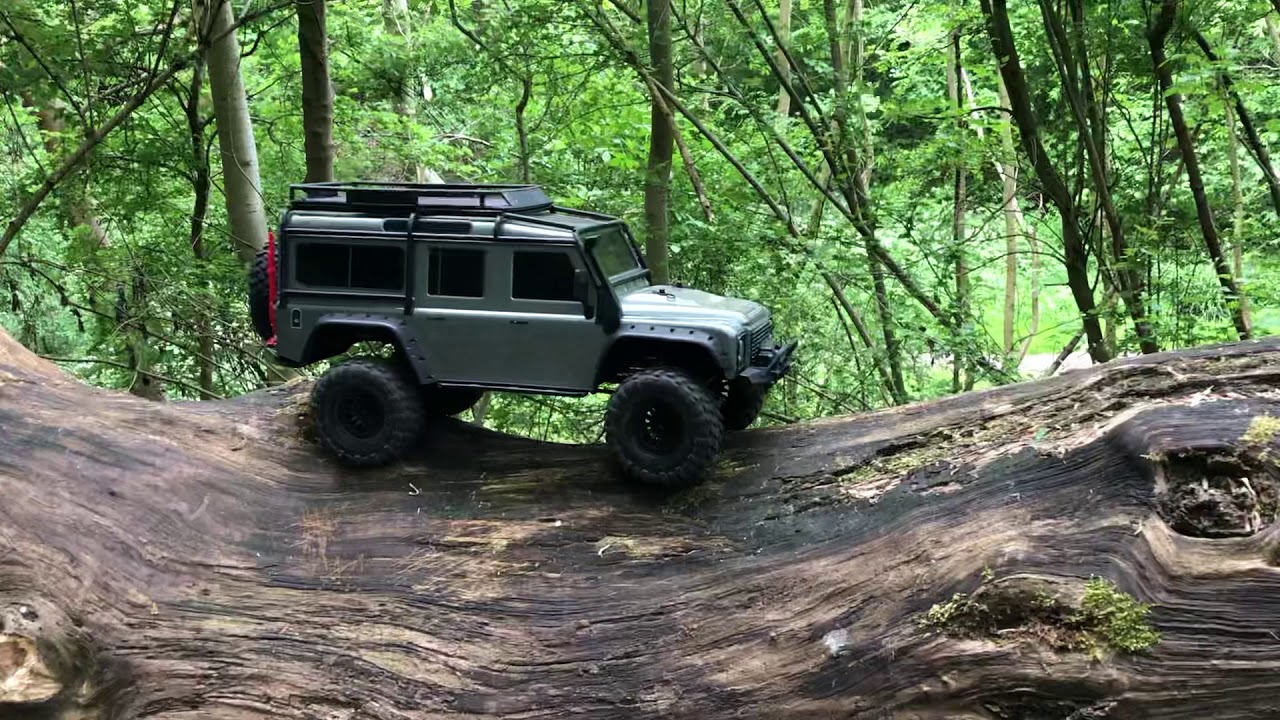 Tree crawling - YouTube