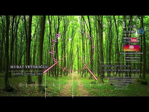 HoRoN & PotPoRi [ MaShuP ] 2025 ✔ \