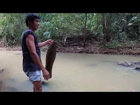 EP35 Buhay Probinsya | naligo sa sapa, nanguha ng panggatong, nag lagay ng bobo sa ilog - YouTube