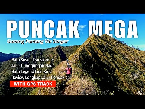 PUNCAK MEGA GUNUNG PUNTANG  | 7 Summit Jawa Barat | Review Lengkap Jalur Pendakian + GPS Track