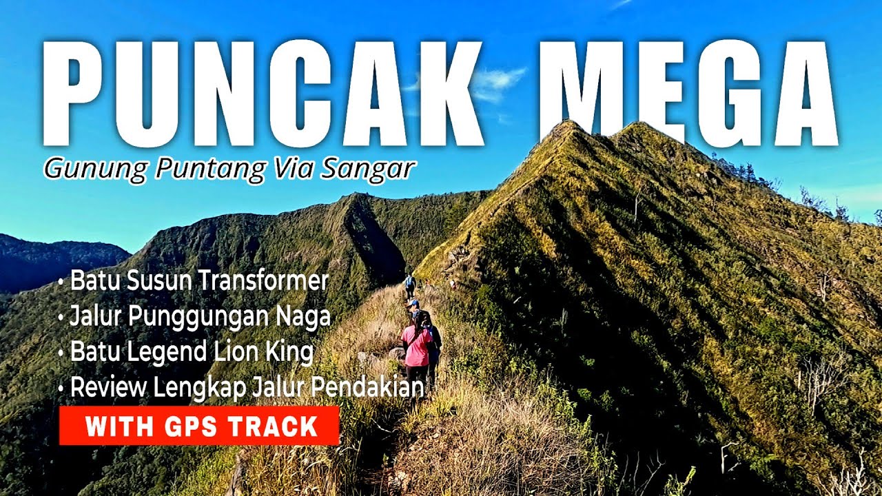 PUNCAK MEGA GUNUNG PUNTANG | 7 Summit Jawa Barat | Review Lengkap Jalur ...