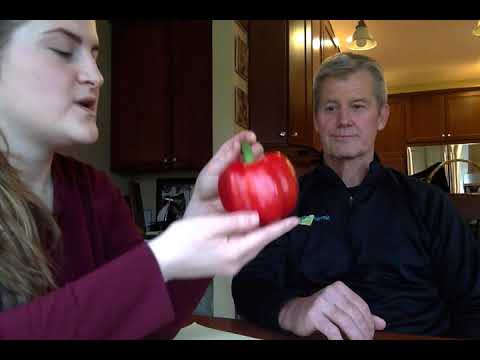 Lexical Retrieval Therapy - YouTube