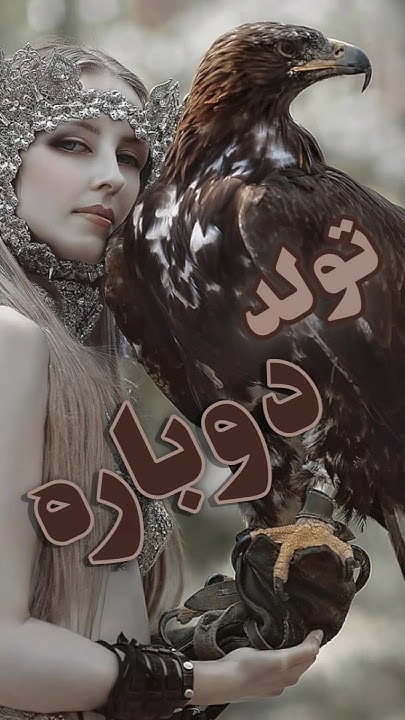 زندگی عقاب ها - YouTube