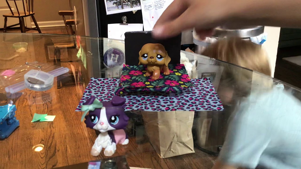 LPS: The BoSsY BuTLeR (Skit) Crossover with LPS: Crashing New Series ...