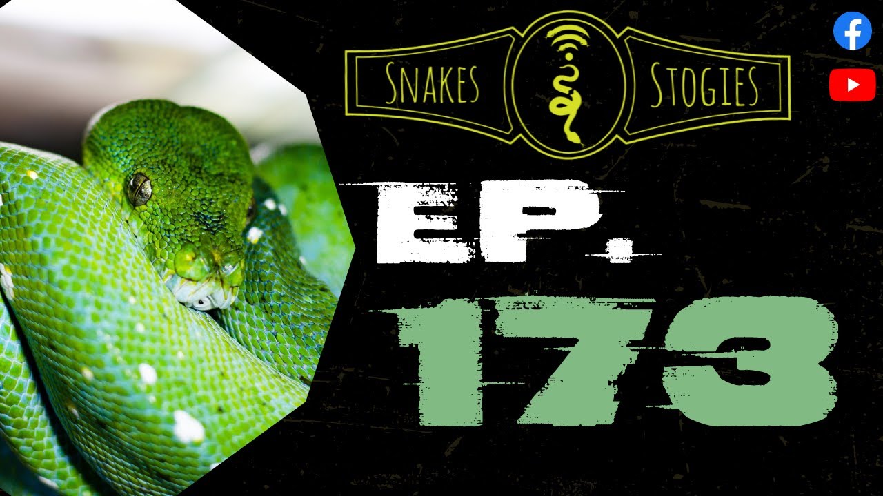 David Brahms | Snakes & Stogies Ep. 173 - YouTube