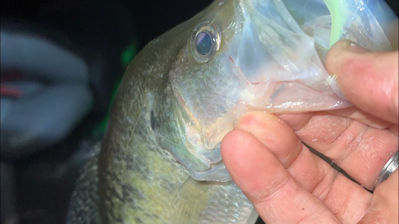 Ultra light crappie - YouTube
