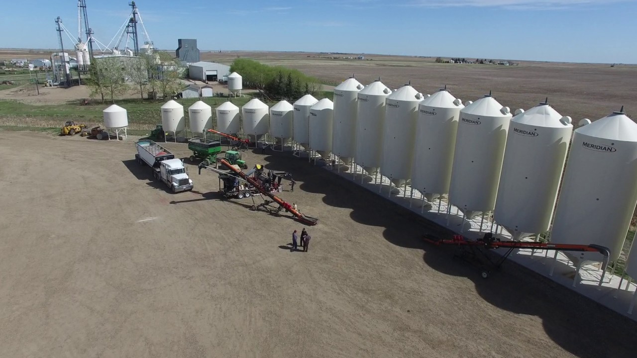 Busy day in the yard shipping seed - YouTube