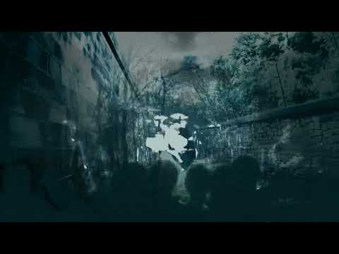 SLEDGEHAMMER NOSEJOB - Sledgehammer B*tch (Official Video 2018) | DEFYING DANGER RECORDS