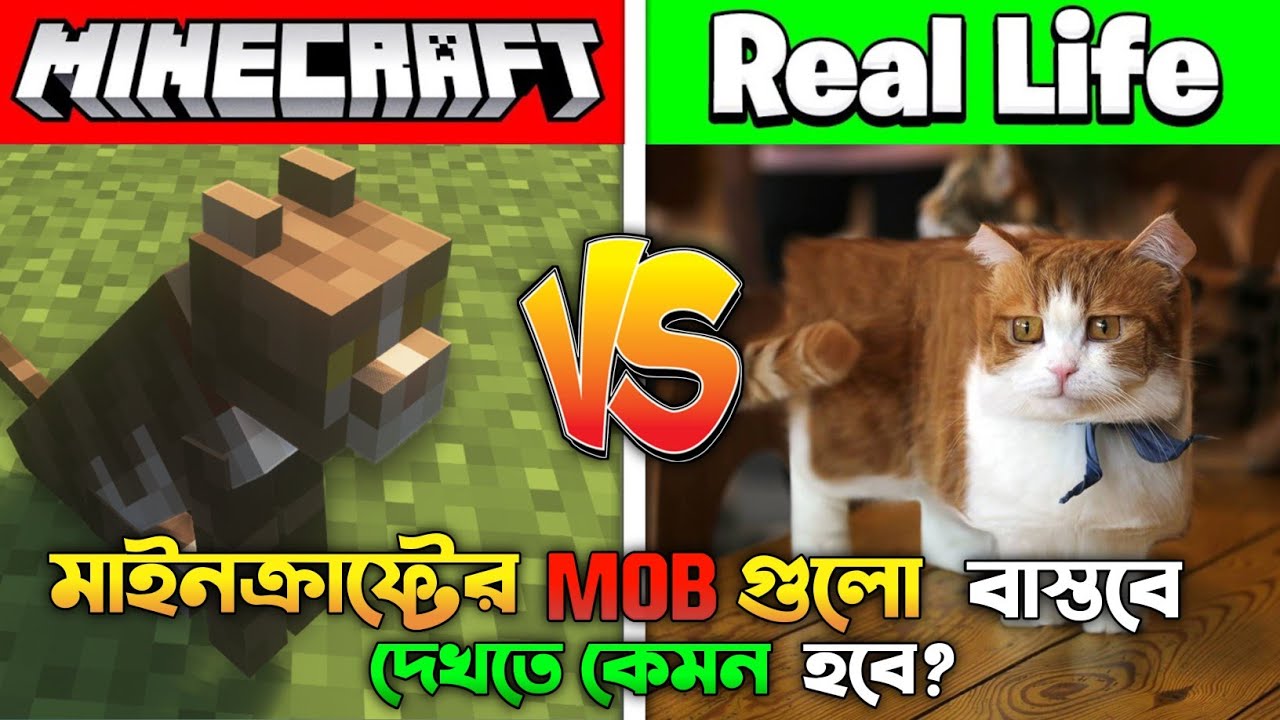 🤧 Minecraft mob বাস্তবে দেখতে কেমন হবে ? Minecraft mob real life photo ...