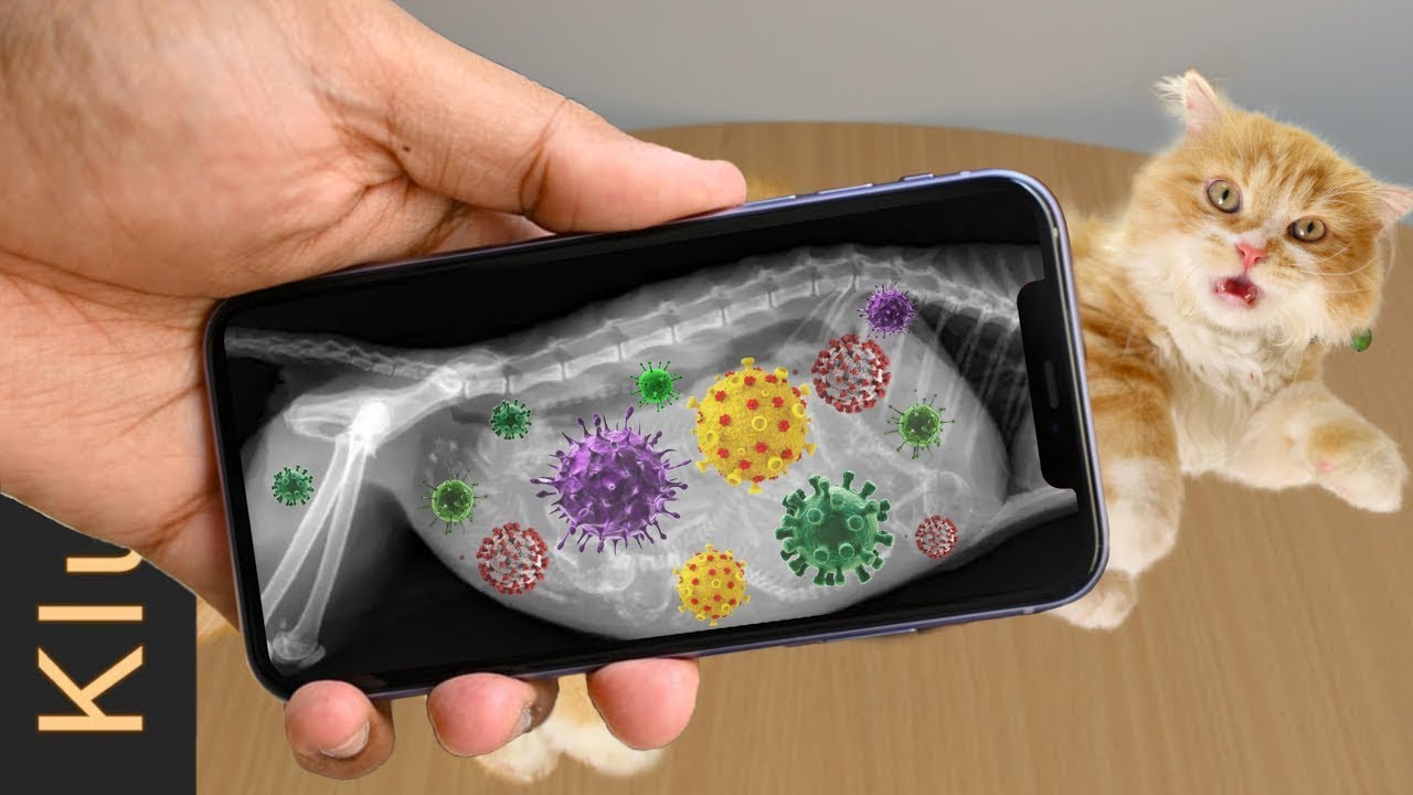 Eating CORONAVIRUS to save TOM cat ASMR food MUKBANG! Kluna Tik's FAN ...