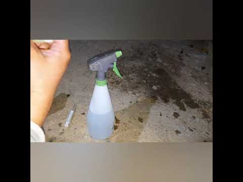 Tavuk biti ile nasıl mücadele edilir bit ne zaman kontrol edilir altox kullanımı