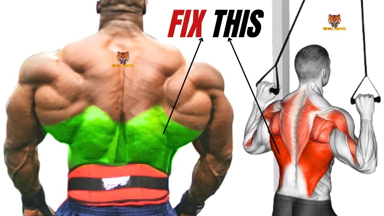 5 STRONGEST BACK EXERCISES IN THE GYM TO HAVE V TAPER SHAPE - YouTube
