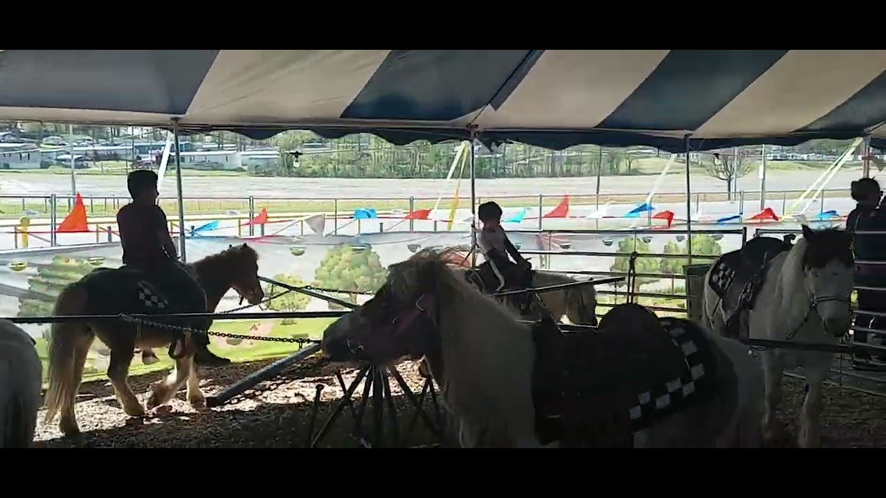 Pony ride - Charlotte Fair - YouTube