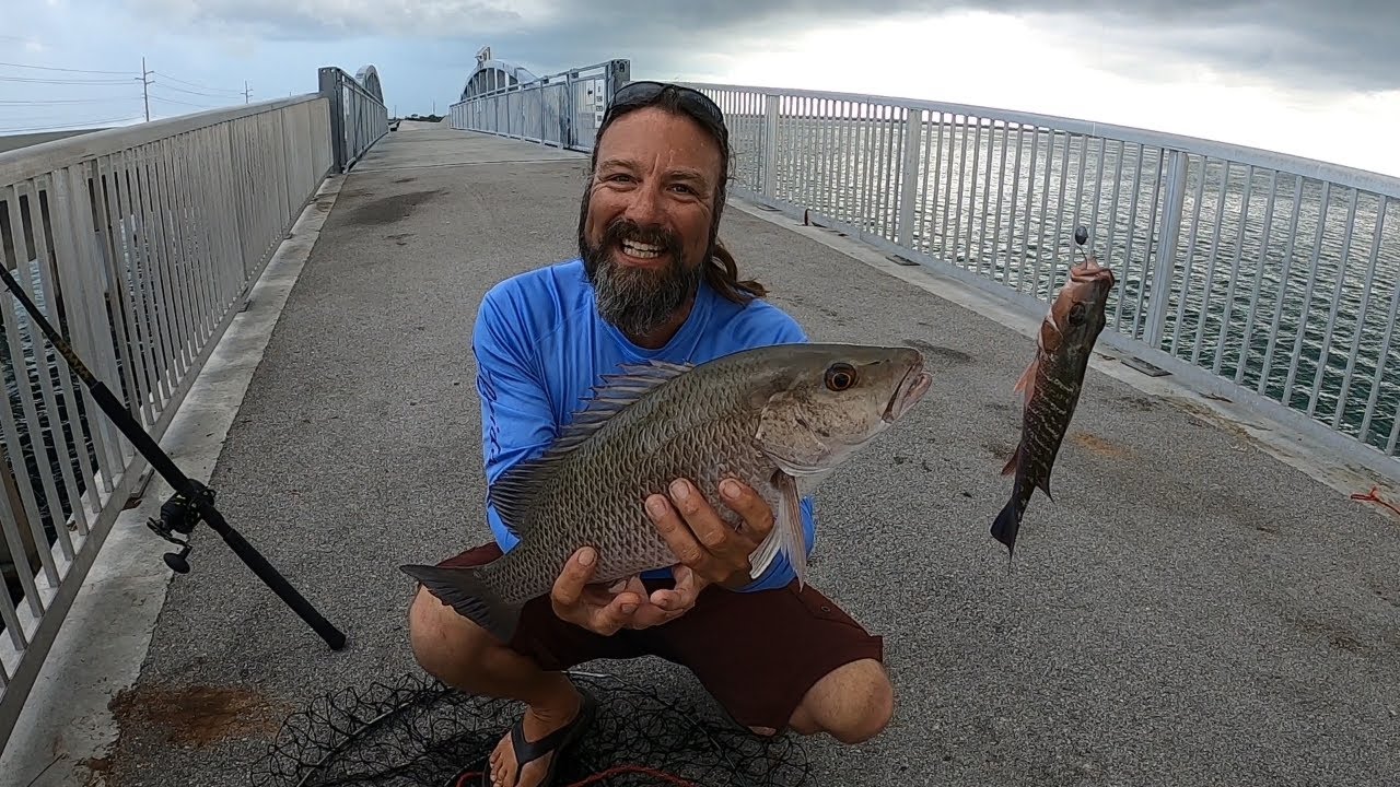 LandBoat Charters Fishing Trip * Florida Keys Bridge Fishing * Keys ...
