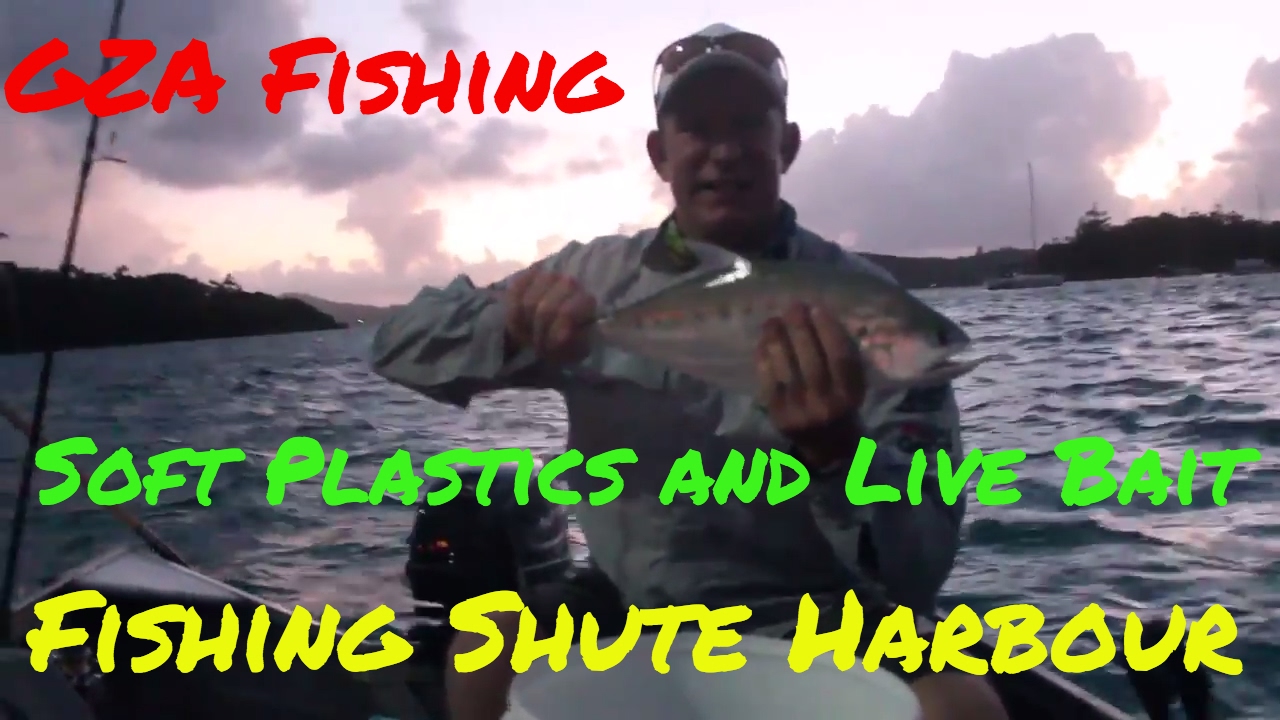 Soft plastic and live bait fishing Shute Harbour Whitsundays - YouTube
