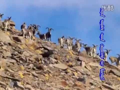 Deed mongol duu Tengerees eshtei mongol - YouTube
