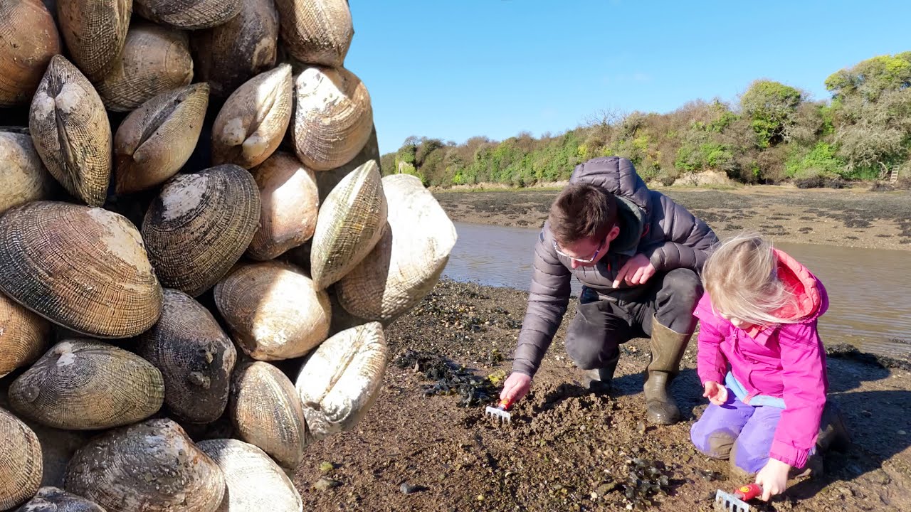 Coastal Foraging with my Daughter | Tasty Clam Chowder Recipe - YouTube