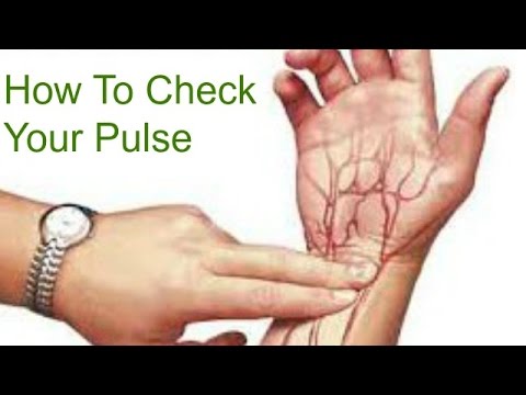 How to check your pulse | Health Issue - YouTube